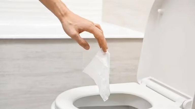¿El papel higiénico debe tirarse en la basura o en el inodoro? - La Ruleta